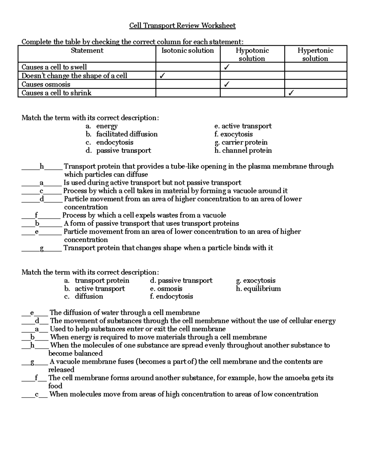 Jake Combest Cell Transport Worksheet Cell Transport Review Worksheet jake-combest-cell-transport-worksheet-cell-transport-review-worksheet