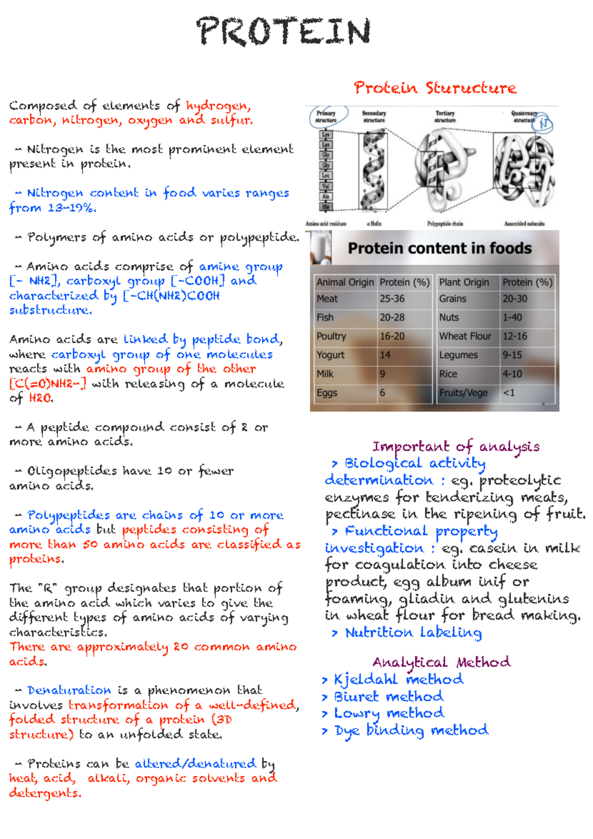 PROTEIN NOTES TEST - Protein Sturucture Important of analysis ...