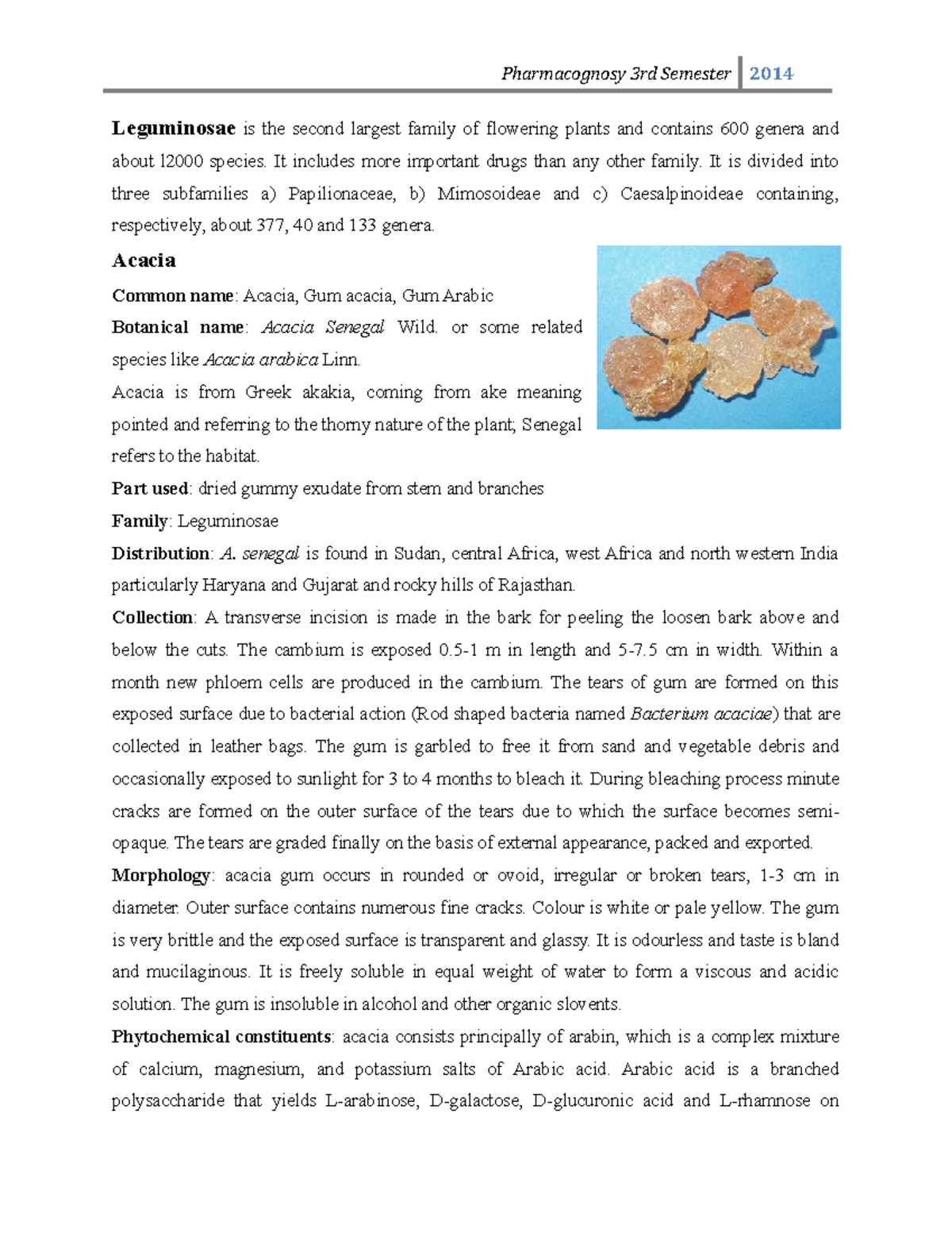 2.3 Leguminosae - Notes for revision - Leguminosae is the second ...