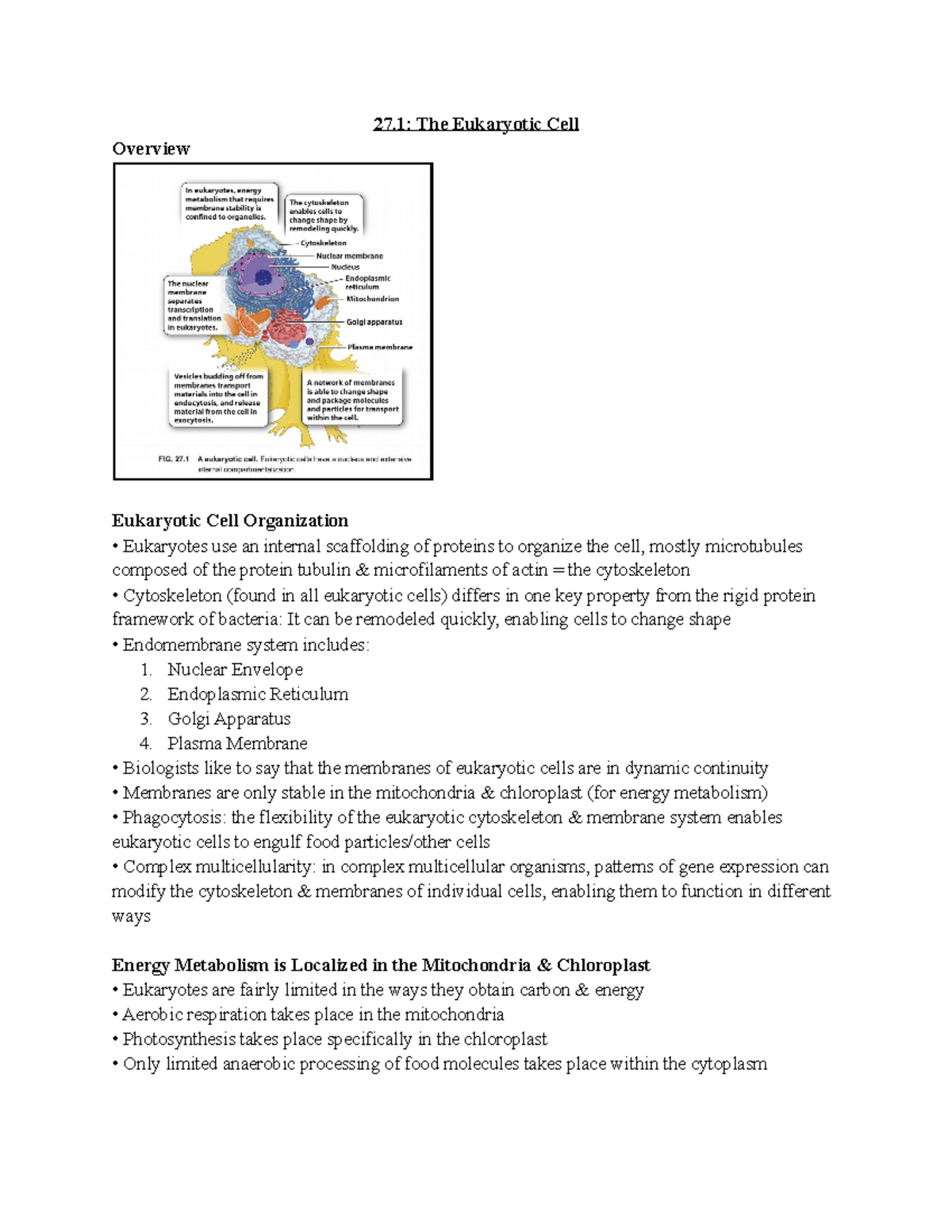 2020-BIO 150-reading notes 8 - 27: The Eukaryotic Cell Overview ...
