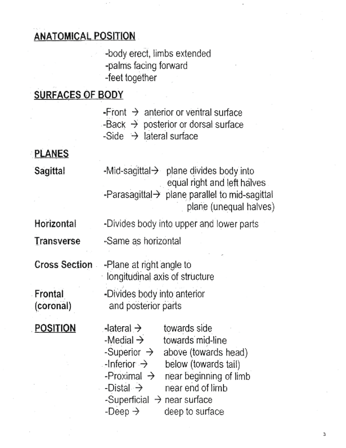 Intro & Skeletal System - 3 3 3 3 3 Medial Superior (Cranial) Lateral ...