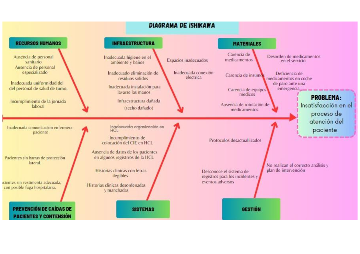 Esquema ichicawa - Gestión del Cuidado Humano - Studocu