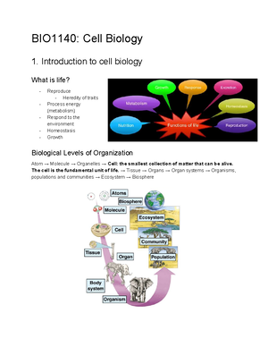 Notes de smart biology deux -Les récepteur enzymatique sont des ...