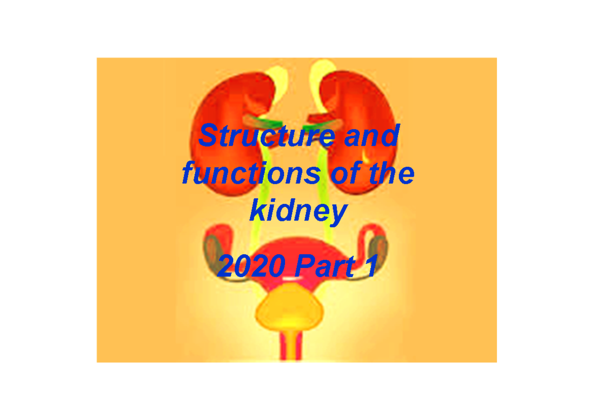 Structure and functions of the kidney 2020 Parts 1 and 2 Lecture ...