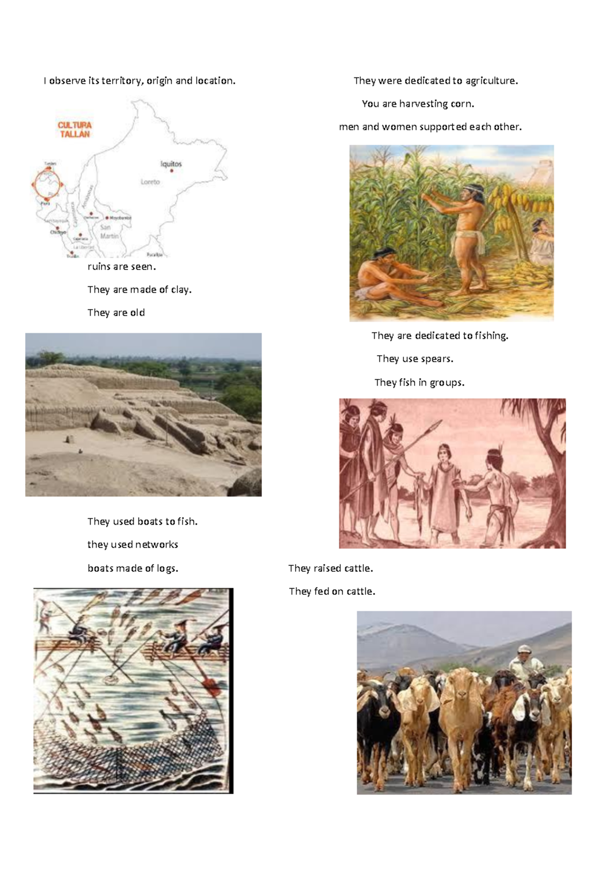 Cultura tallan - lenguaje y comunicacion - I observe its territory ...