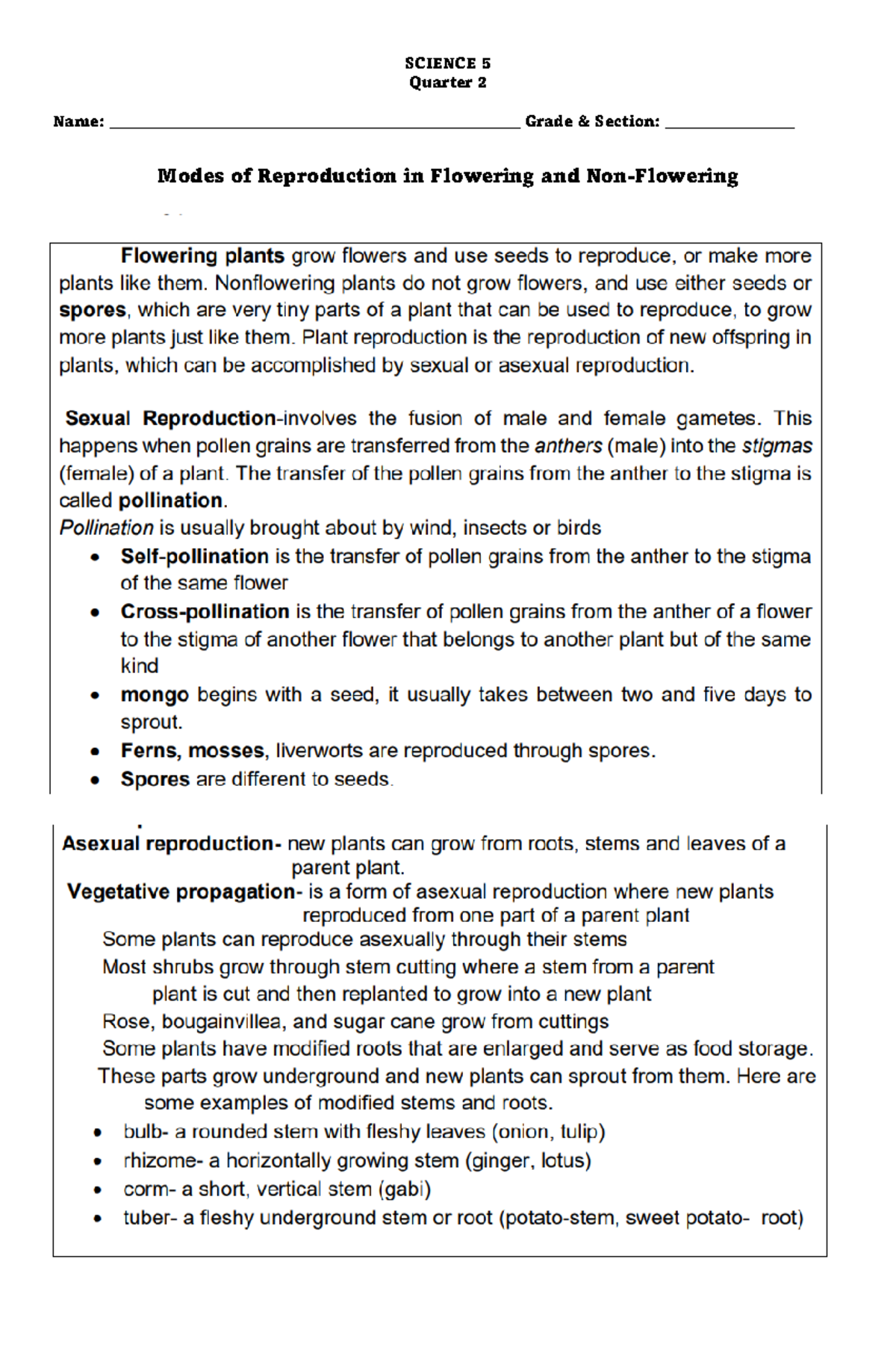 Science 5 quarter 2 worksheets - science biomolecules - SCIENCE 5 ...