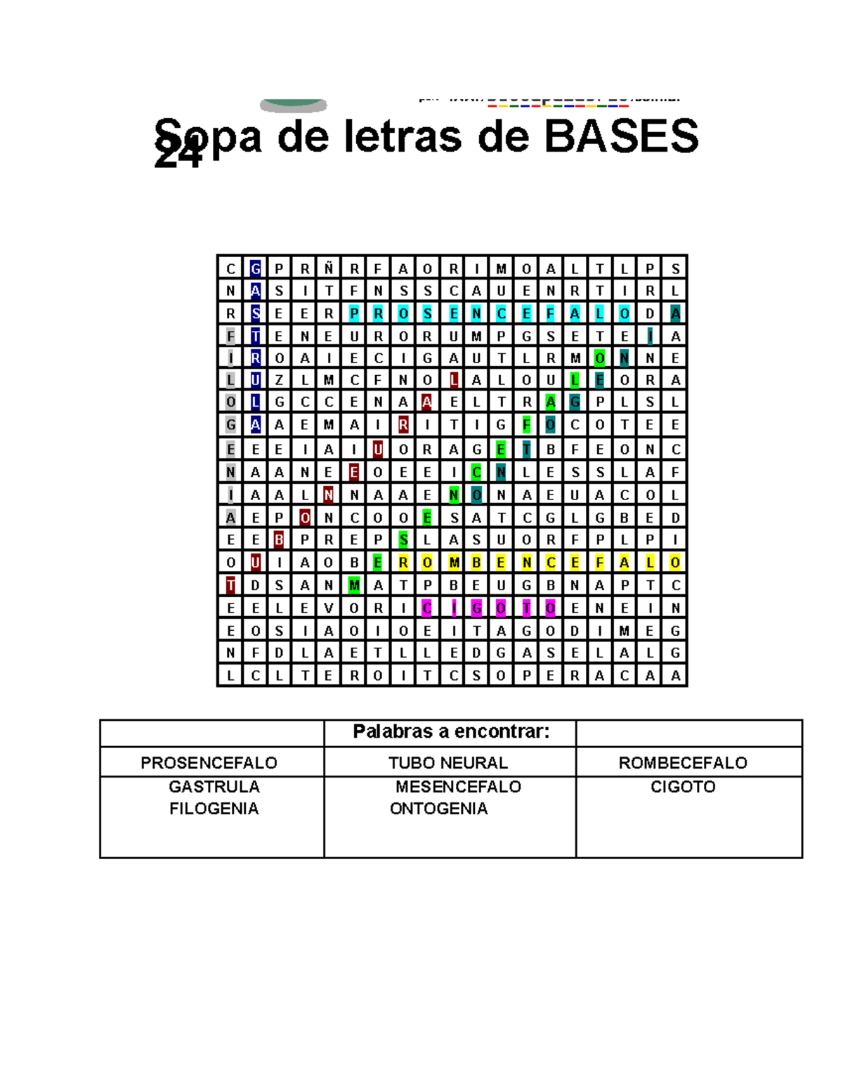 Sopa-de-letras-de-bases 24 22 - Sopa de letras de BASES 24 C G P R Ñ R ...