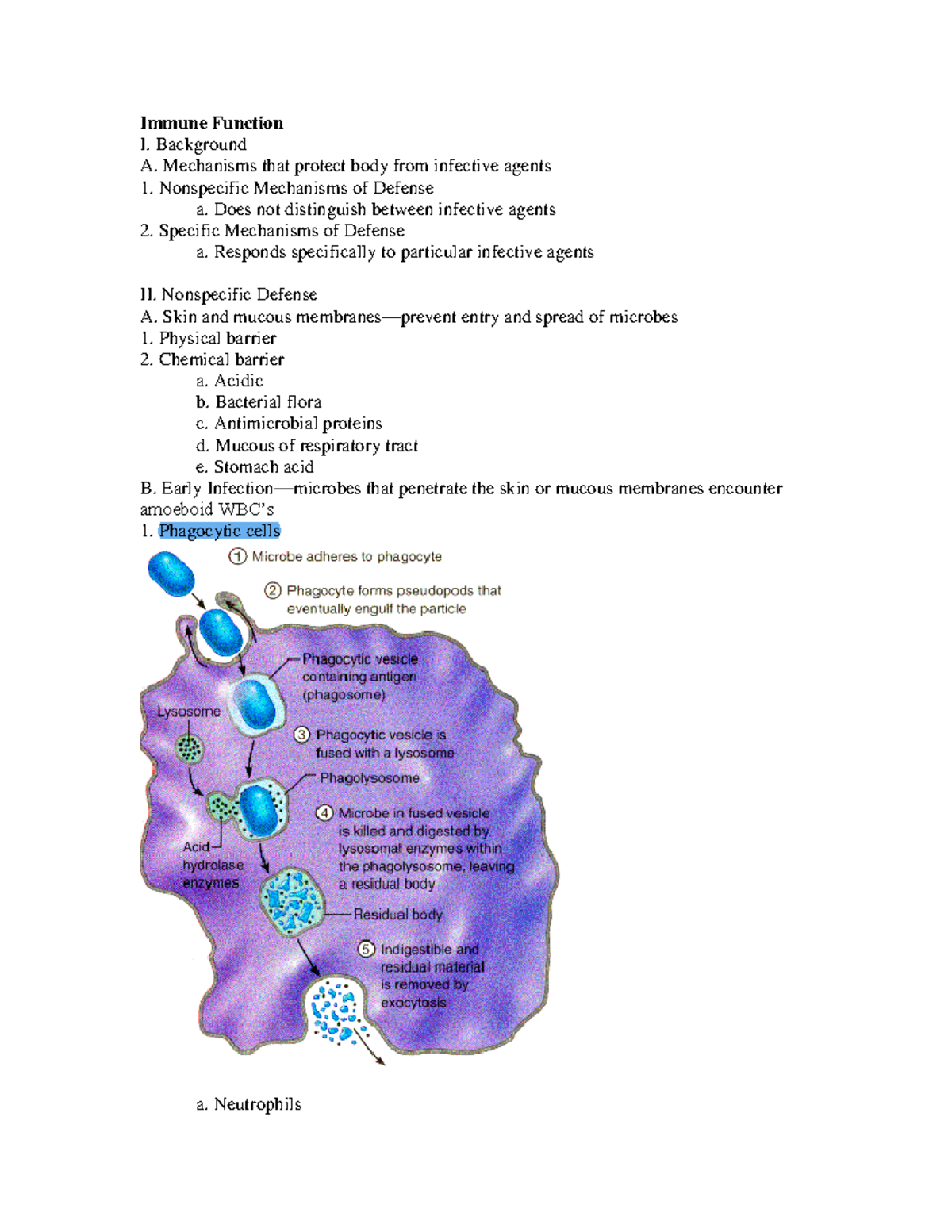 Immune Systems Notes - Immune Function I. Background A. Mechanisms that ...