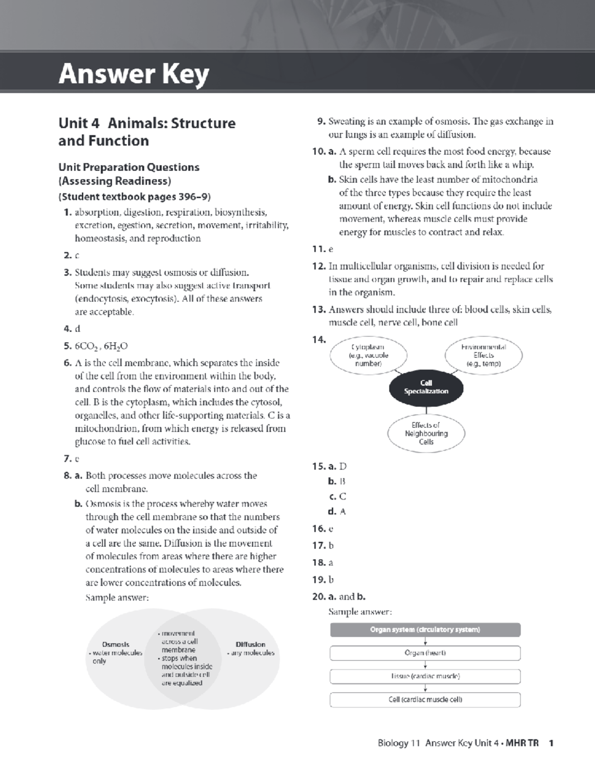 Unit 4 Animals - Structure and Function Answer Key - Studocu