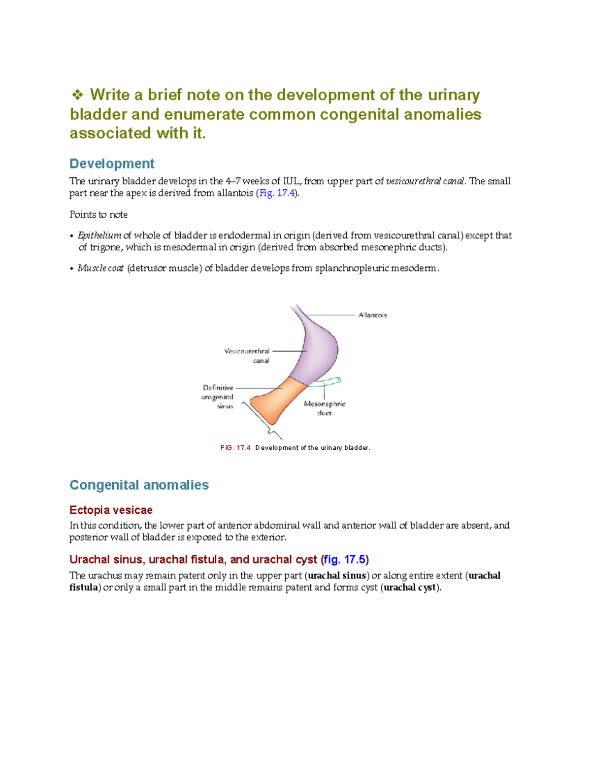 Selective Anatomy Vol 2-35 - Write a brief note on the development of ...