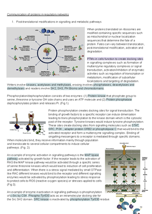 Bioc0008 22 tutorial 4 - BIOC Biomolecular Structure and Function TUTORIAL PROGRAMME 2022 ...