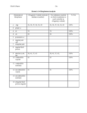 LSA Phonology Phonological Analysis Form with Paragraph - Error Pattern ...