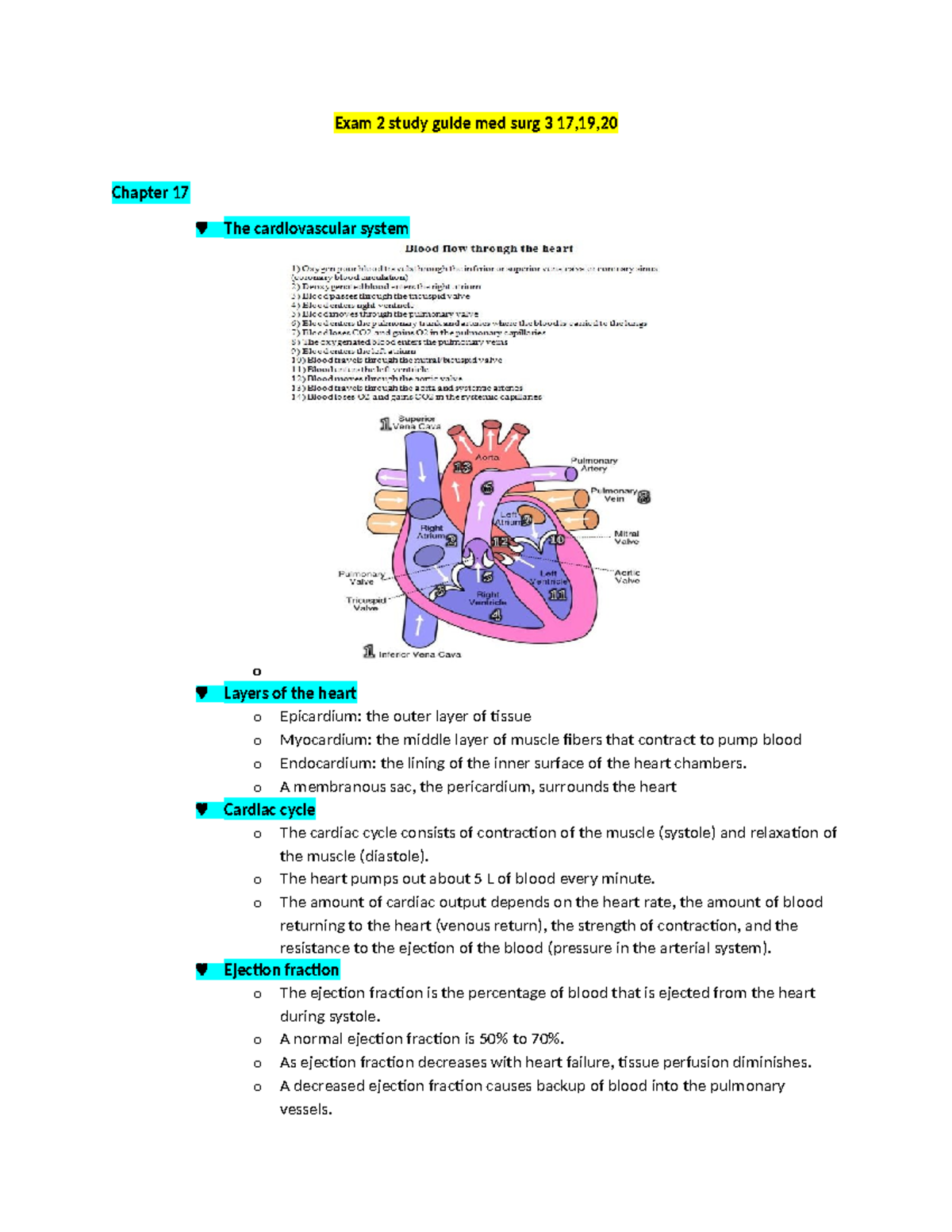 Exam 2 Study Guide: Cardiovascular System Overview - Exam 2 study guide ...