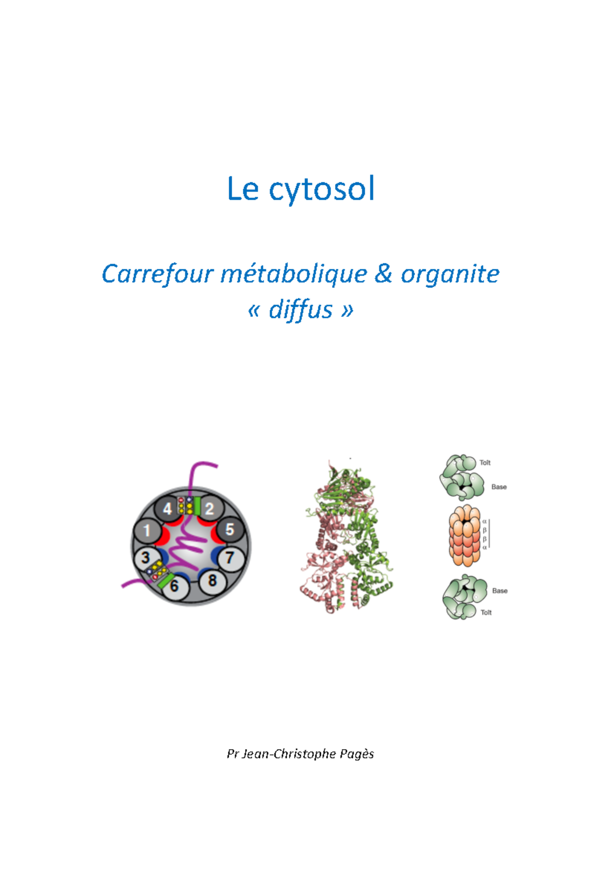 Le Cytosol - Le cytosol Carrefour métabolique & organite « diffus » Pr ...