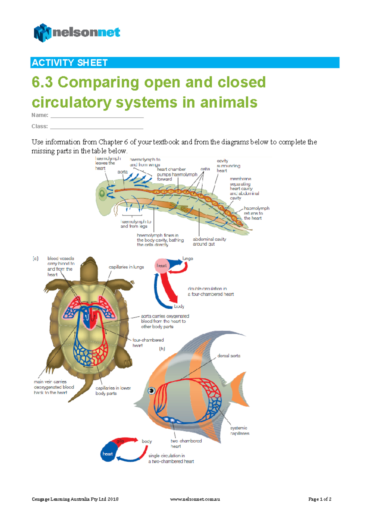 Comparing open and closed systems - Cengage Learning Australia Pty Ltd ...
