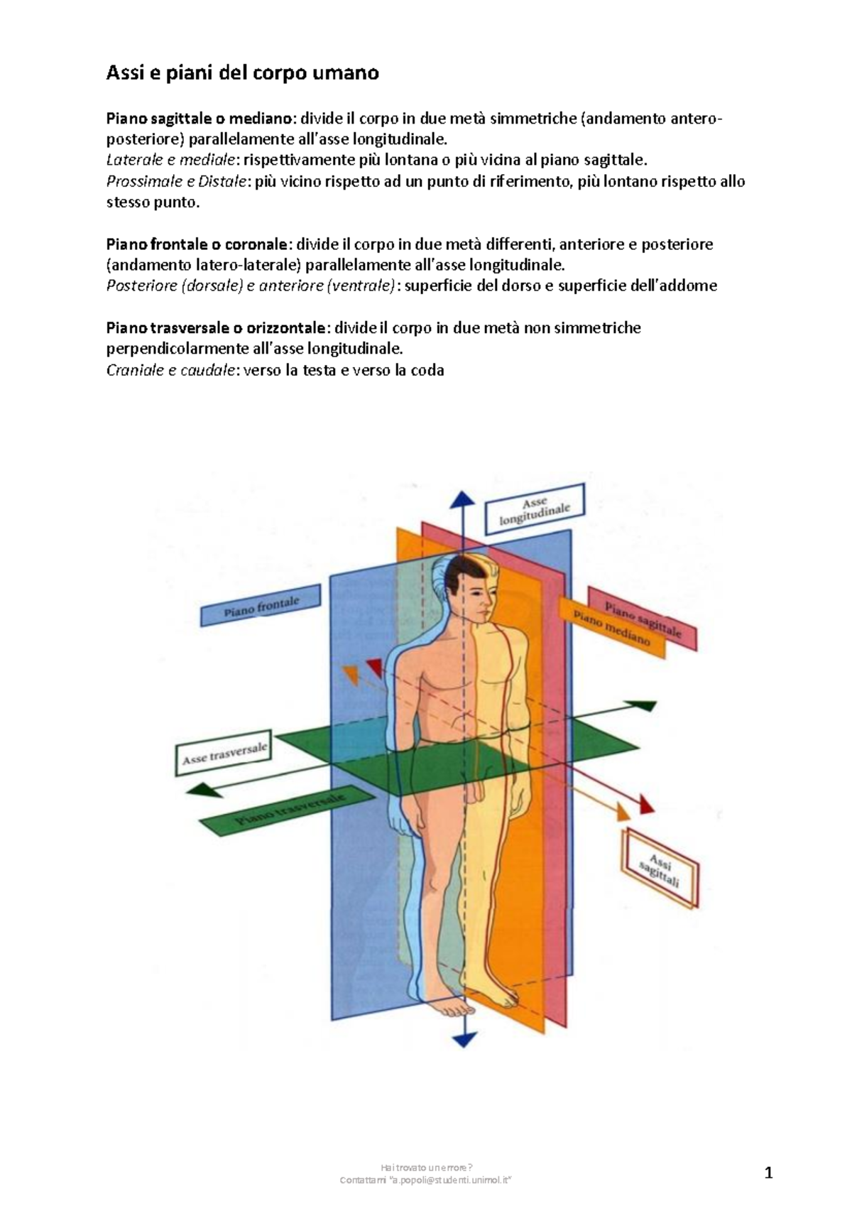 Anatomia 1 2 - Hai trovato un errore? Assi e piani del corpo umano ...