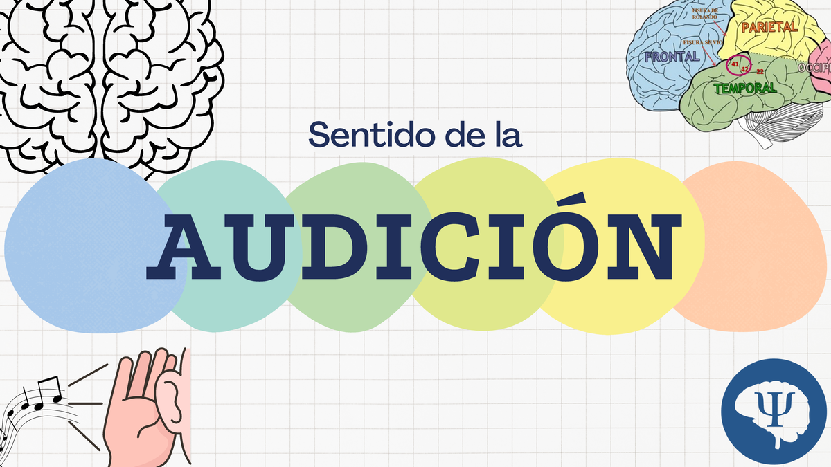 TA2 - Sentido de la audición - AUDICIÓN Sentido de la También conocido ...