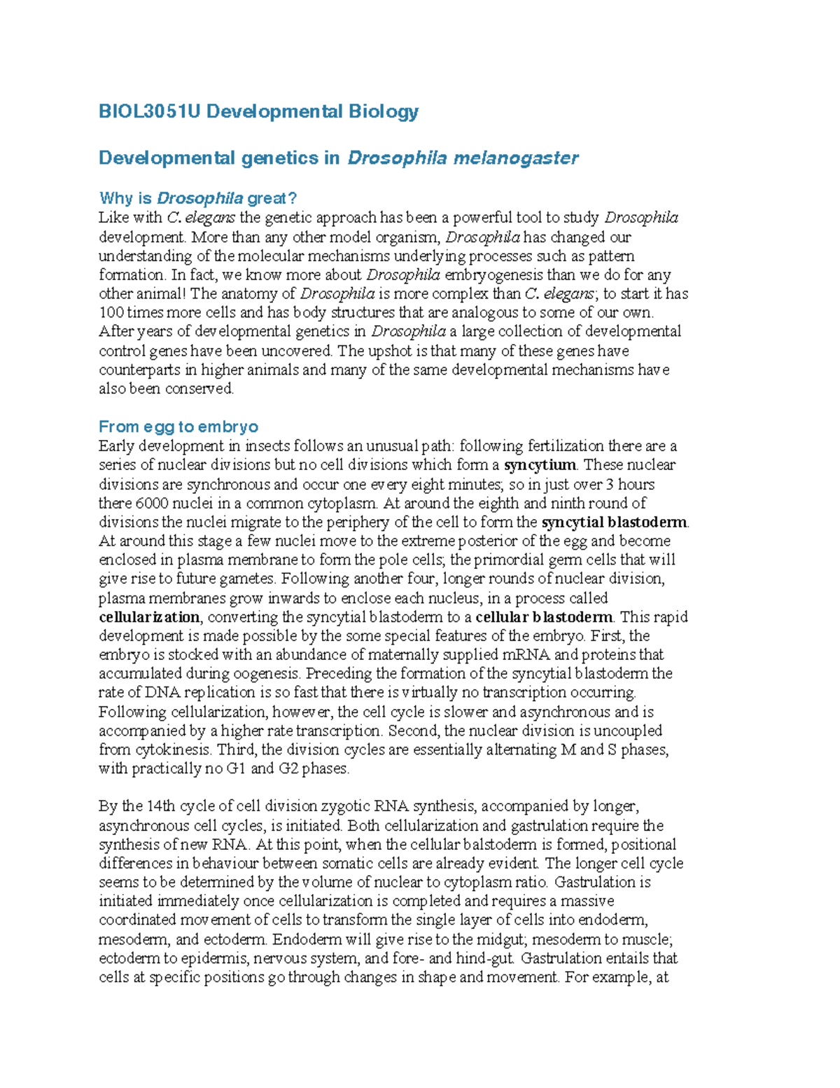 Developmental genetics in Drosophila melanogaster - BIOL3051U ...
