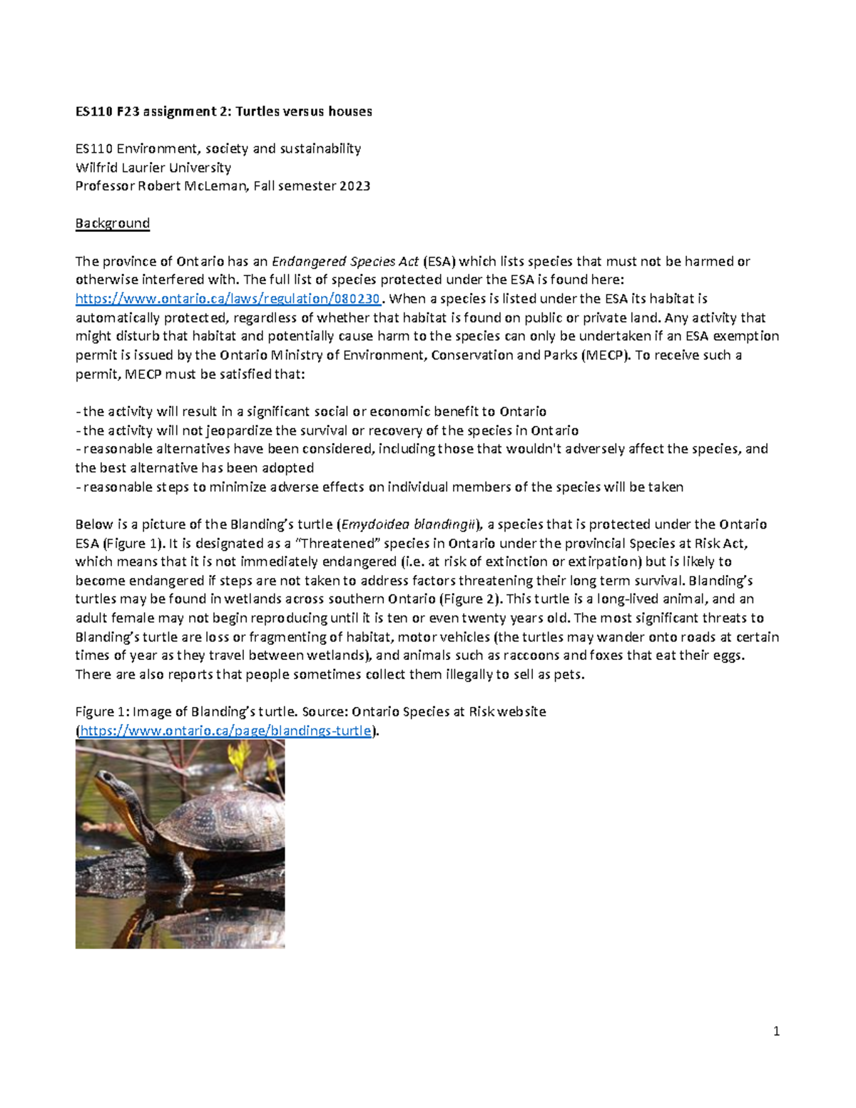 assignment turtles instructions - ES110 F23 assignment 2: Turtles ...