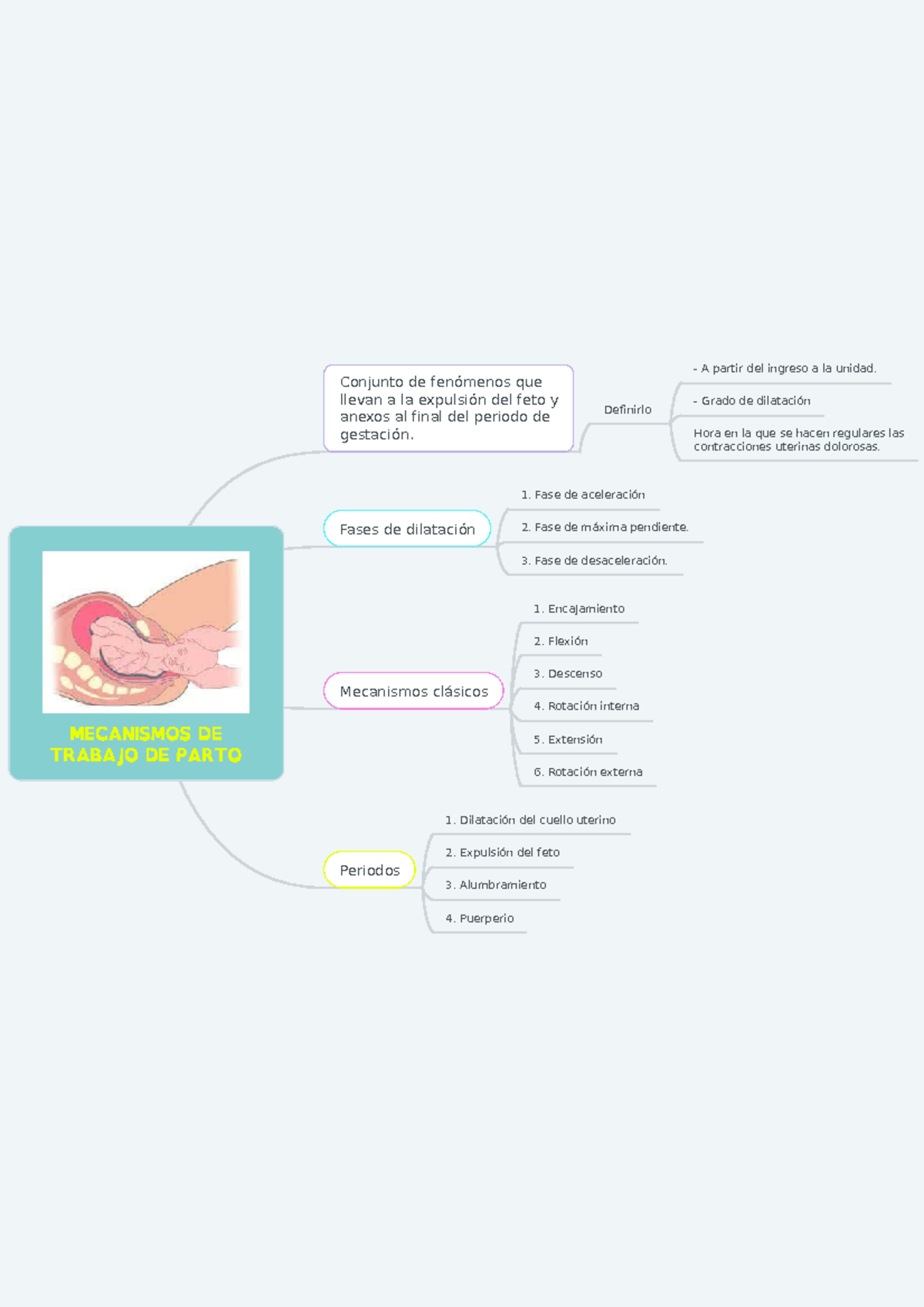 Mecanismos DE%0 Atrabajo DE Parto - Conjunto de fenómenos que llevan a ...