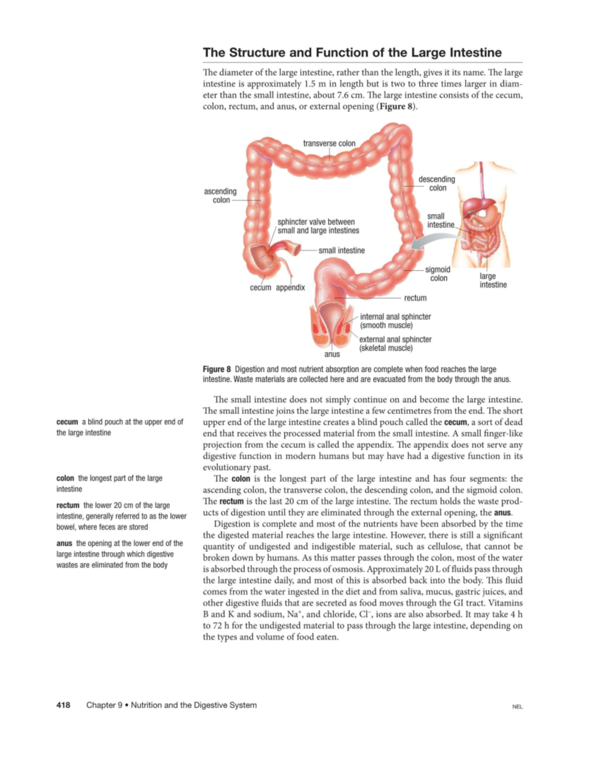 418 - pg 454 nelson textbook page Biology 11 end of chapter questions ...