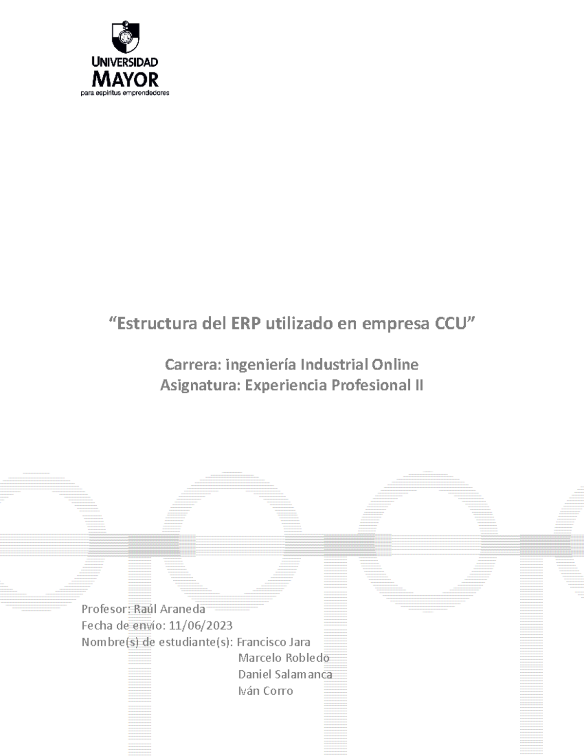 Trabajo Ex - espero sirva - “Estructura del ERP utilizado en empresa ...