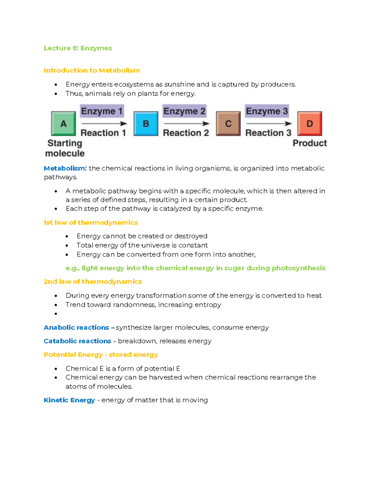 Lecture 6-enzymes - Lecture 6: Enzymes Introduction to Metabolism ...