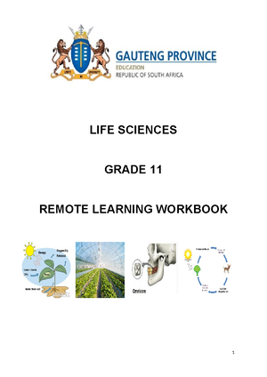 LO GR11 Notes TERM 3 2021 - EDEN THS LIFE ORIENTATION GRADE 11 CLASS ...