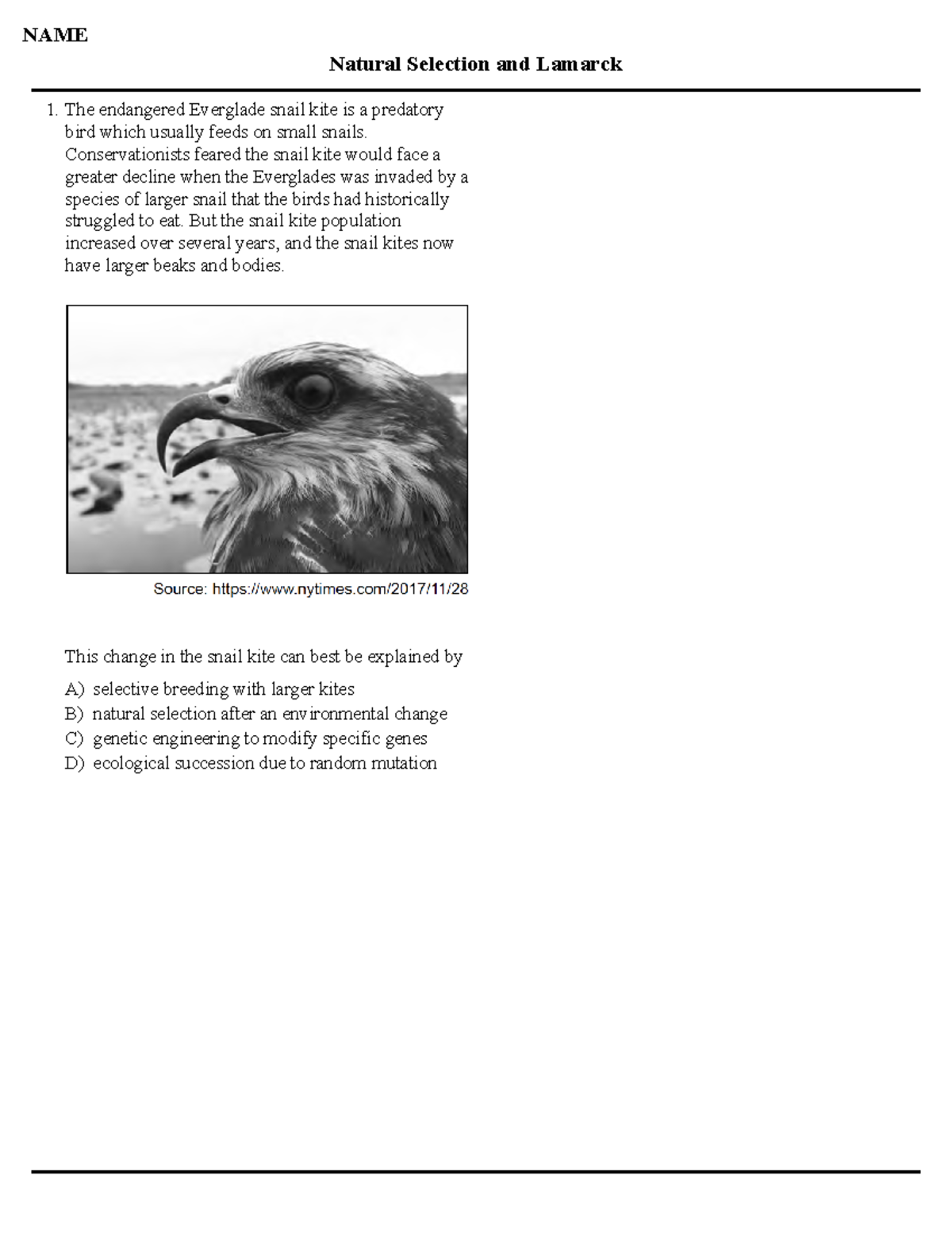 Natural Selection Lamarck 1713452166256 sc - NAME Natural Selection and ...