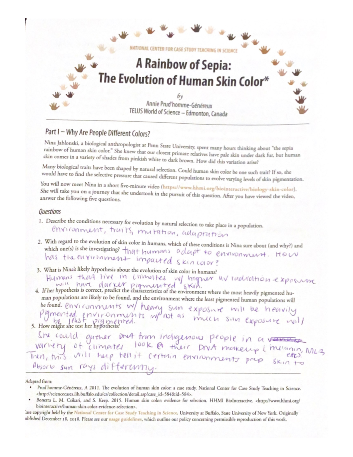 A Rainbow of Sepia - Case study on skin - NATIONAL CENTER FOR CASE ...