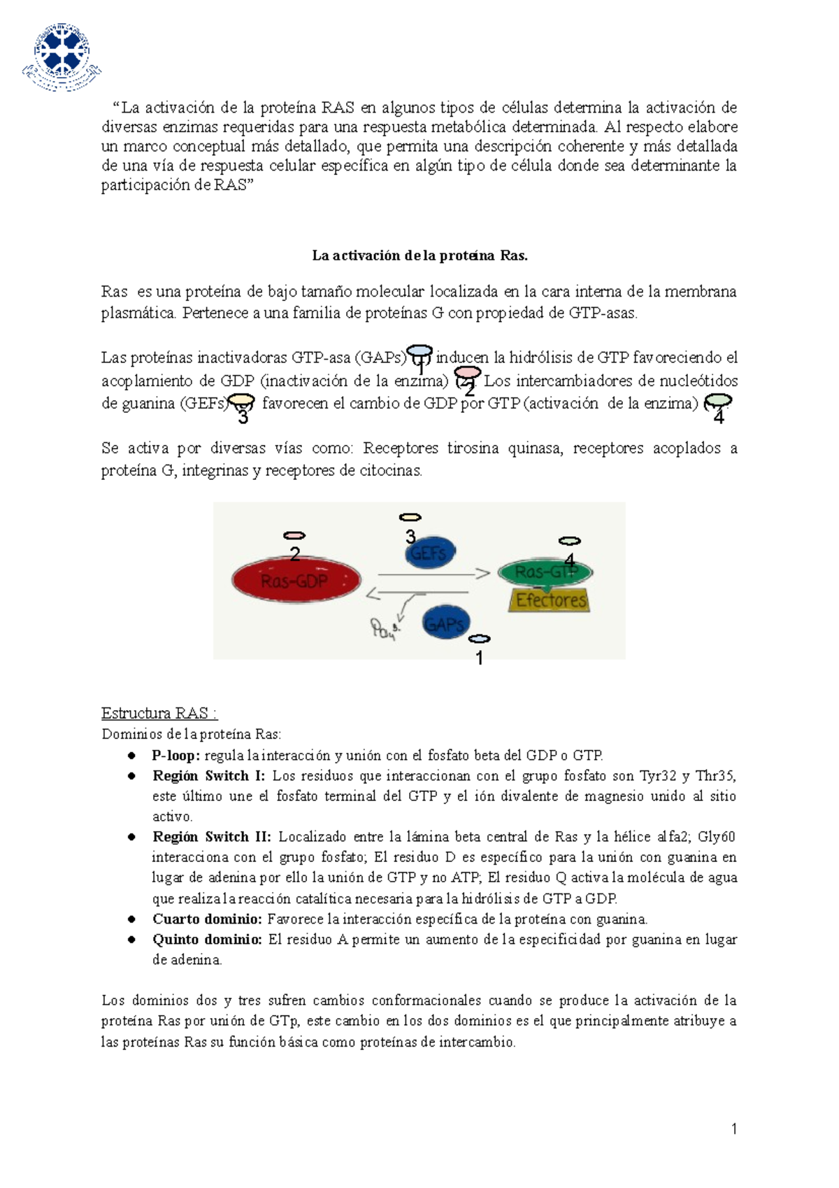 Proteína RAS - Informacion detallada de la proteina RAS - Biologia ...
