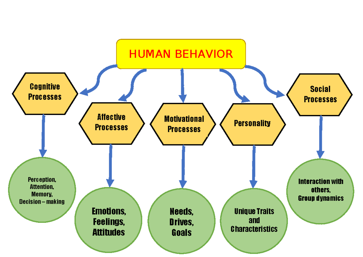 Schematic Diagram - ASSIGNMENT - Secondary Educ - HUMAN BEHAVIOR ...