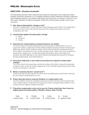 L6 - Sedimentary Worksheet - Sedimentary Rocks Worksheet Assess each of ...