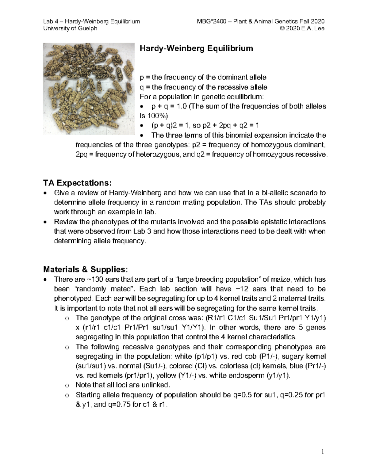 4th lab study guide - University of Guelph © 2020 E. Lee Hardy-Weinberg ...