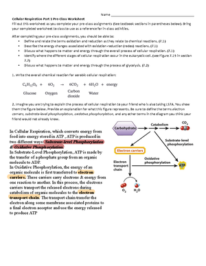 Week 7a - pre class worksheet - Name ...