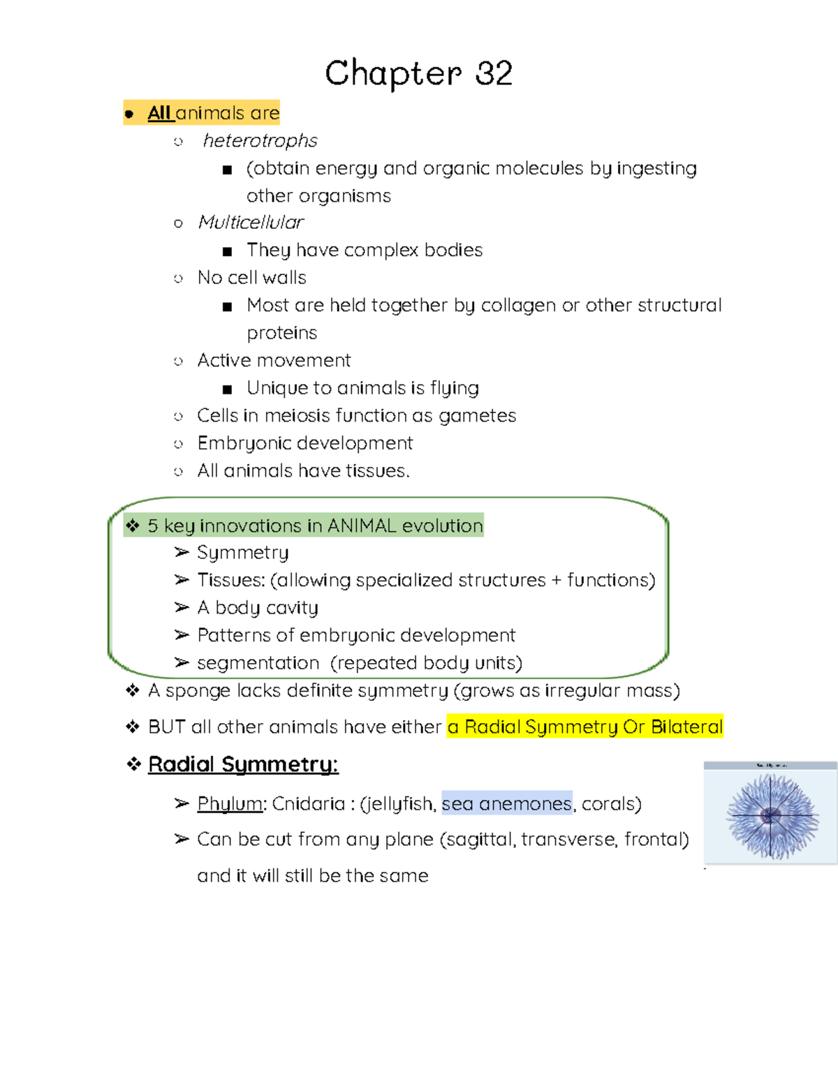 Chapter 32: Animal Diversity and the Evolution of Body Plans Summary ...