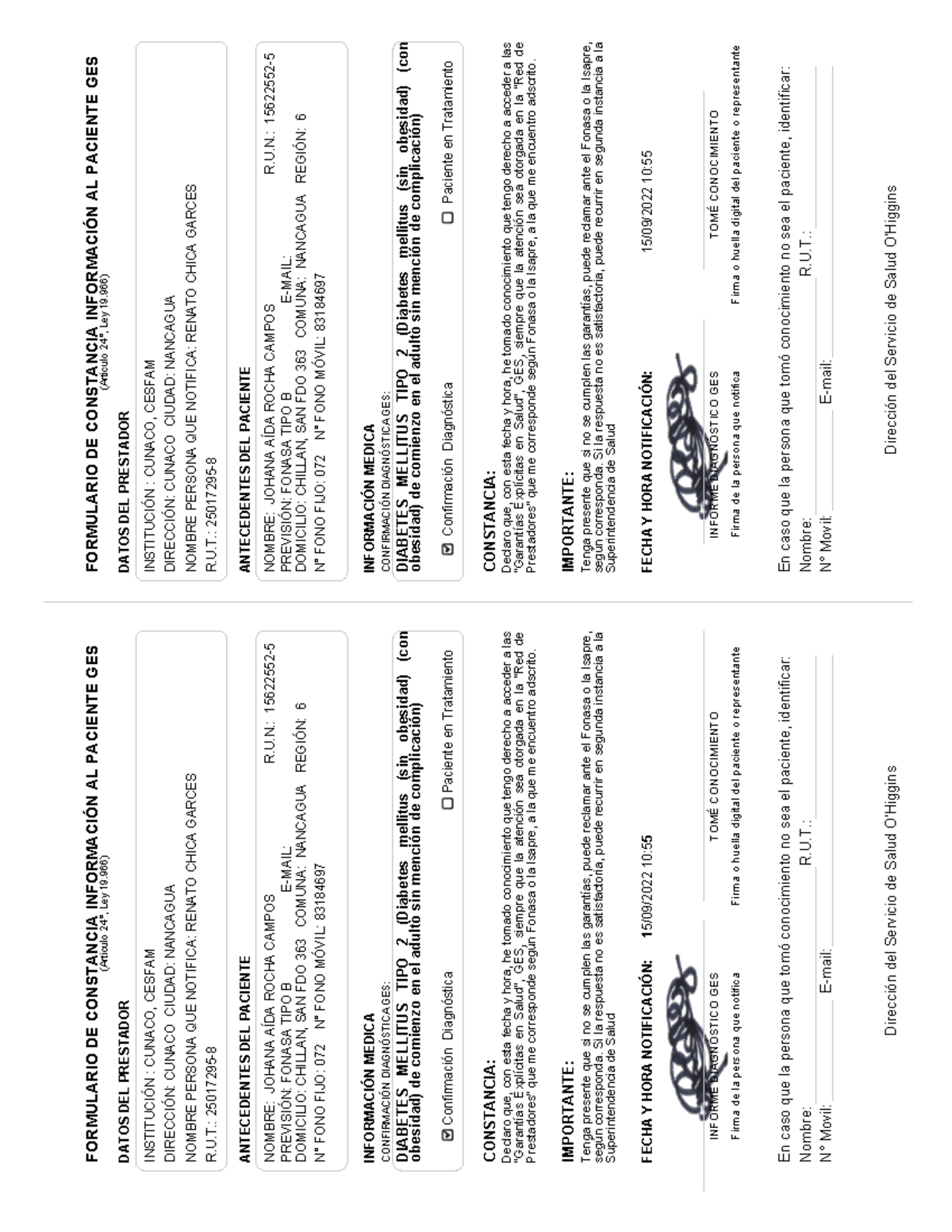 Constancia - Formato de presentación - FORMULARIO DE CONSTANCIA ...