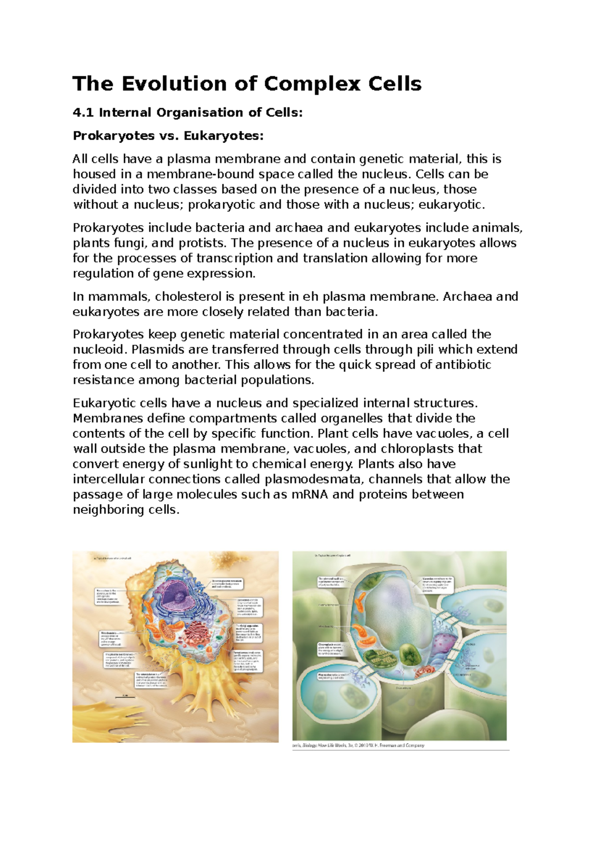 The Evolution of Complex Cells - Eukaryotes: All cells have a plasma ...