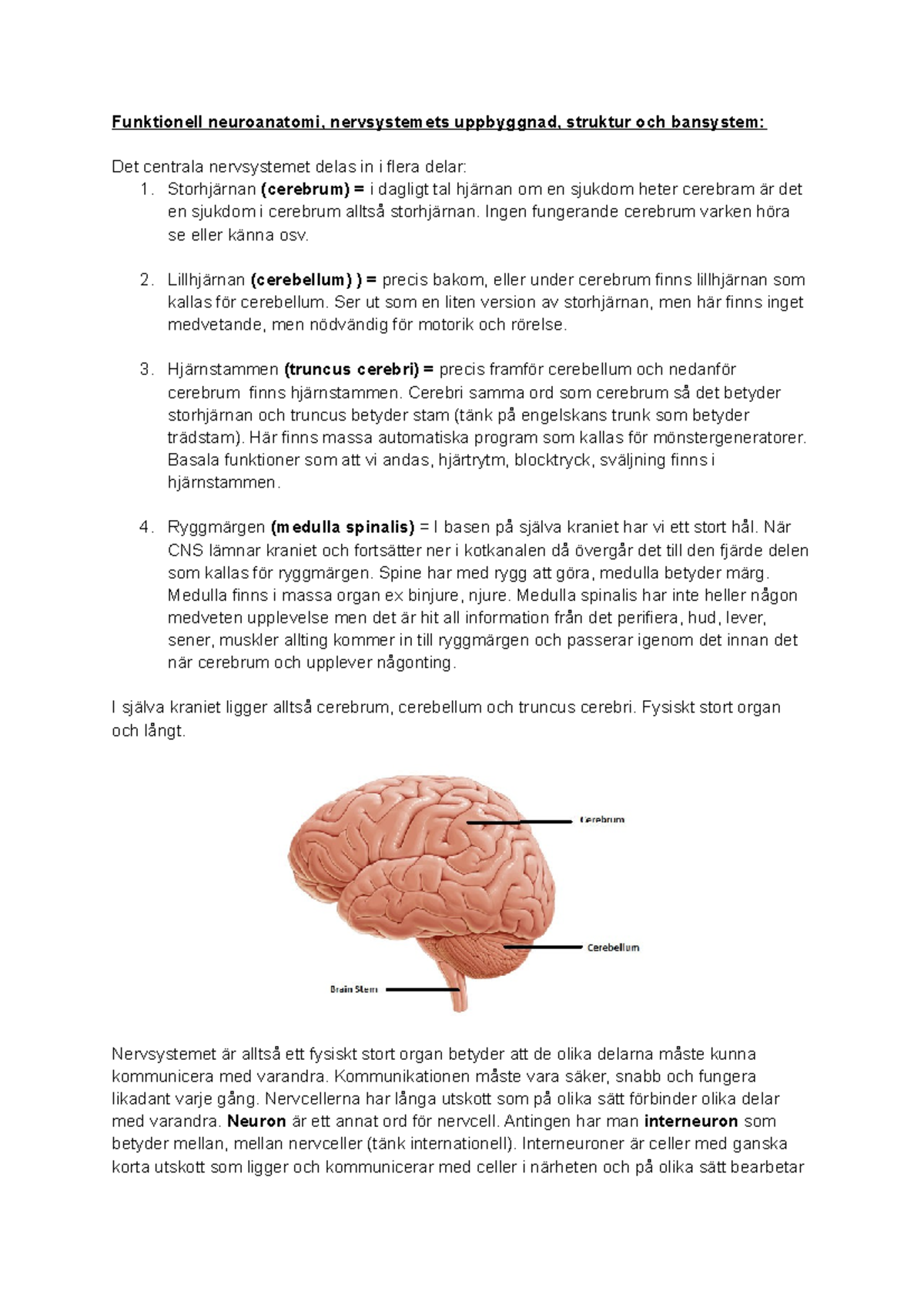 Neuroanatomi 5 11 - föreläsningsanteckningar 1 - Funktionell ...