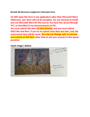 Chpt 03 Exam Study Guide - Chapter 3 Study Guide Using the links in "Activities and - Studocu