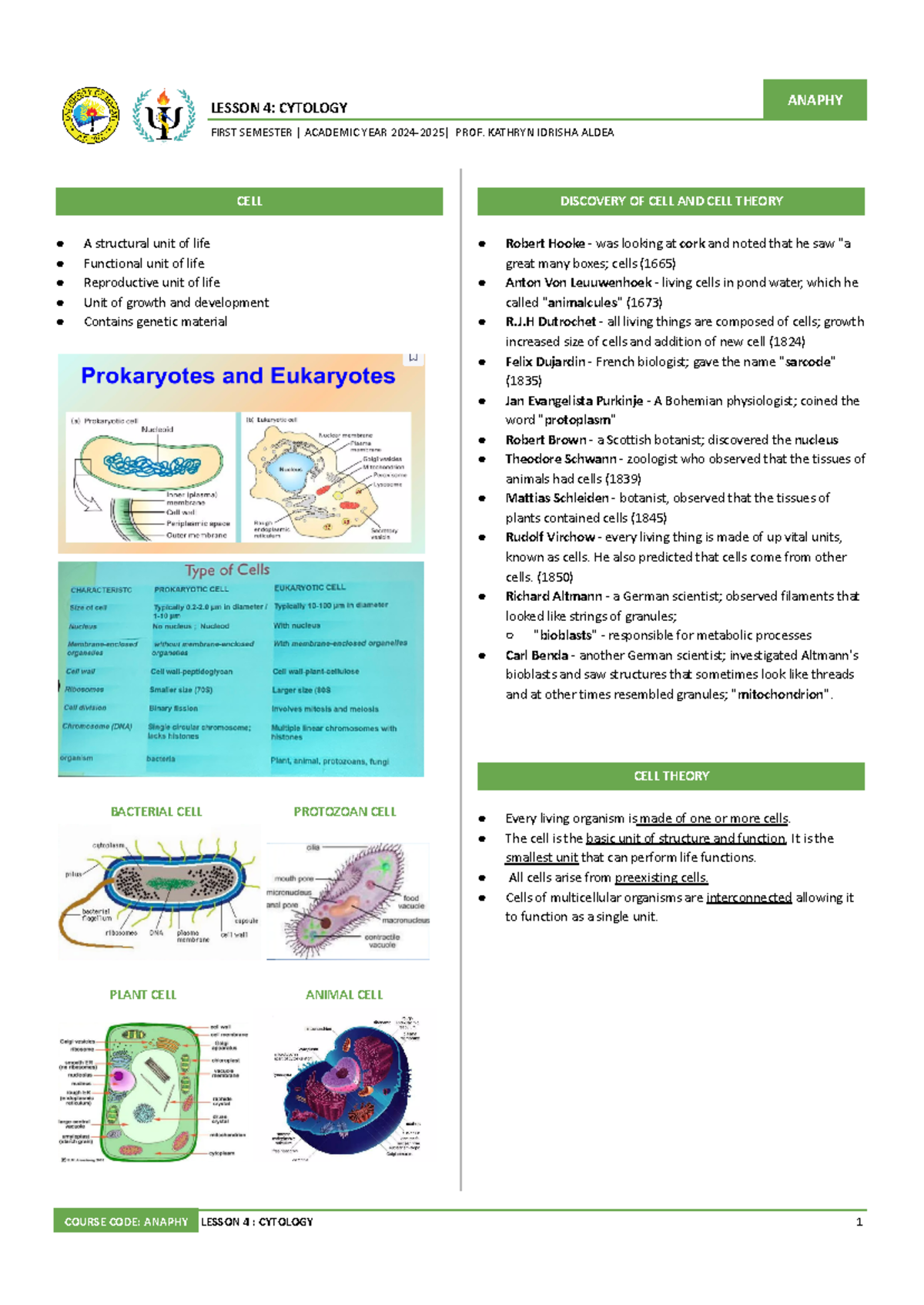 Anaphy CHAP 4 - 5 - notes - FIRST SEMESTER | ACADEMIC YEAR 2024-2025 ...