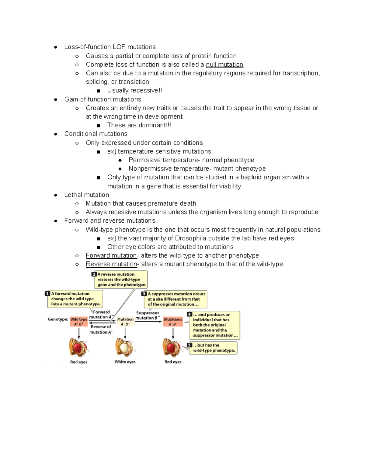 Genetics Chapter 18 Notes Part 3 - Loss-of-function LOF mutations ...