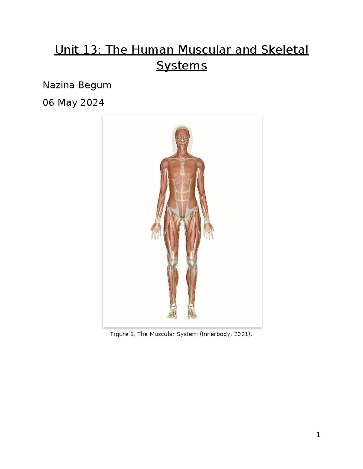 Unit 13 Human muscular and skeletal system - Unit 13: The Human ...