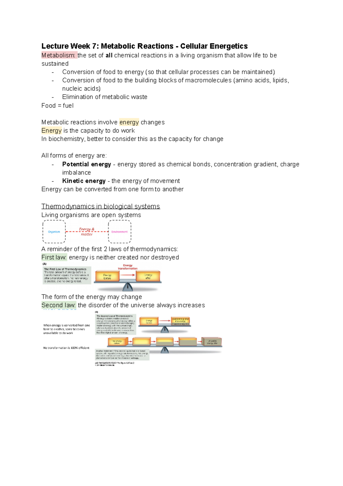 Lect w7 - metabolic reactions cellular energetics - Lecture Week 7 ...