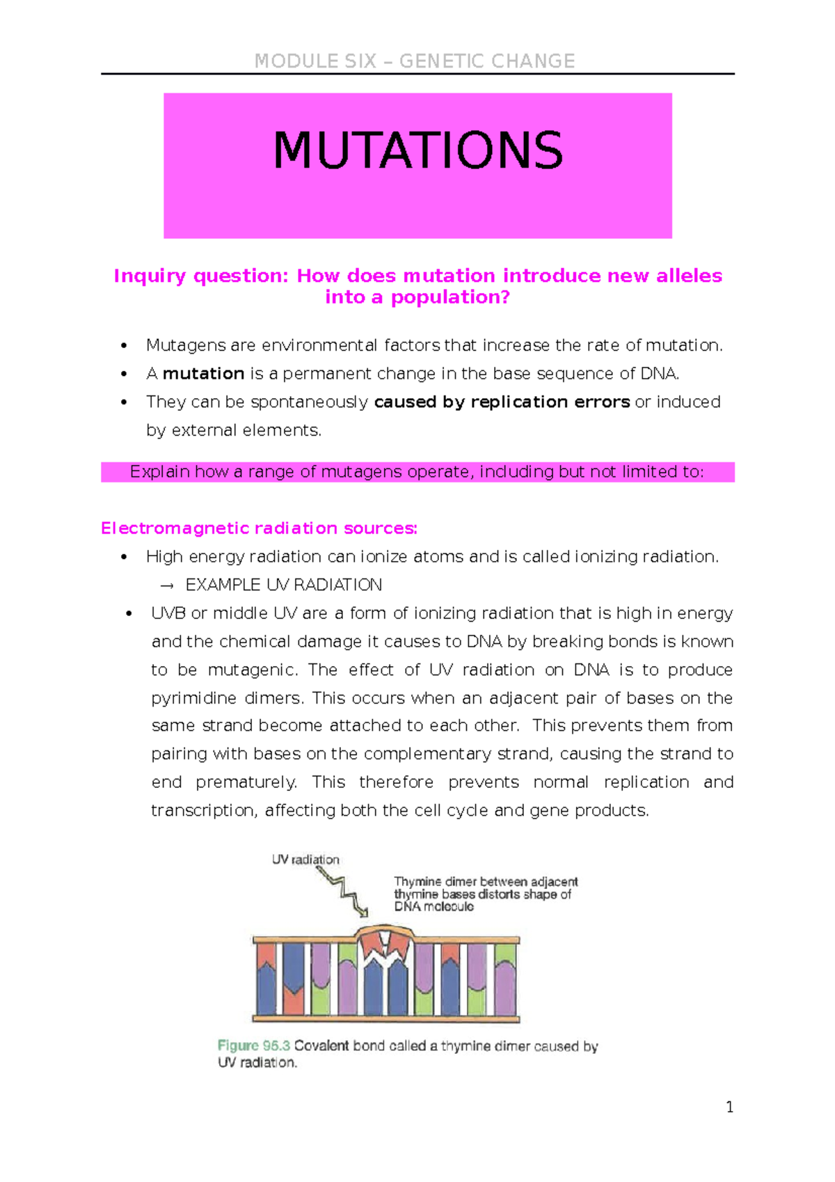 Module 6 - Genetic change - Inquiry question: How does mutation ...