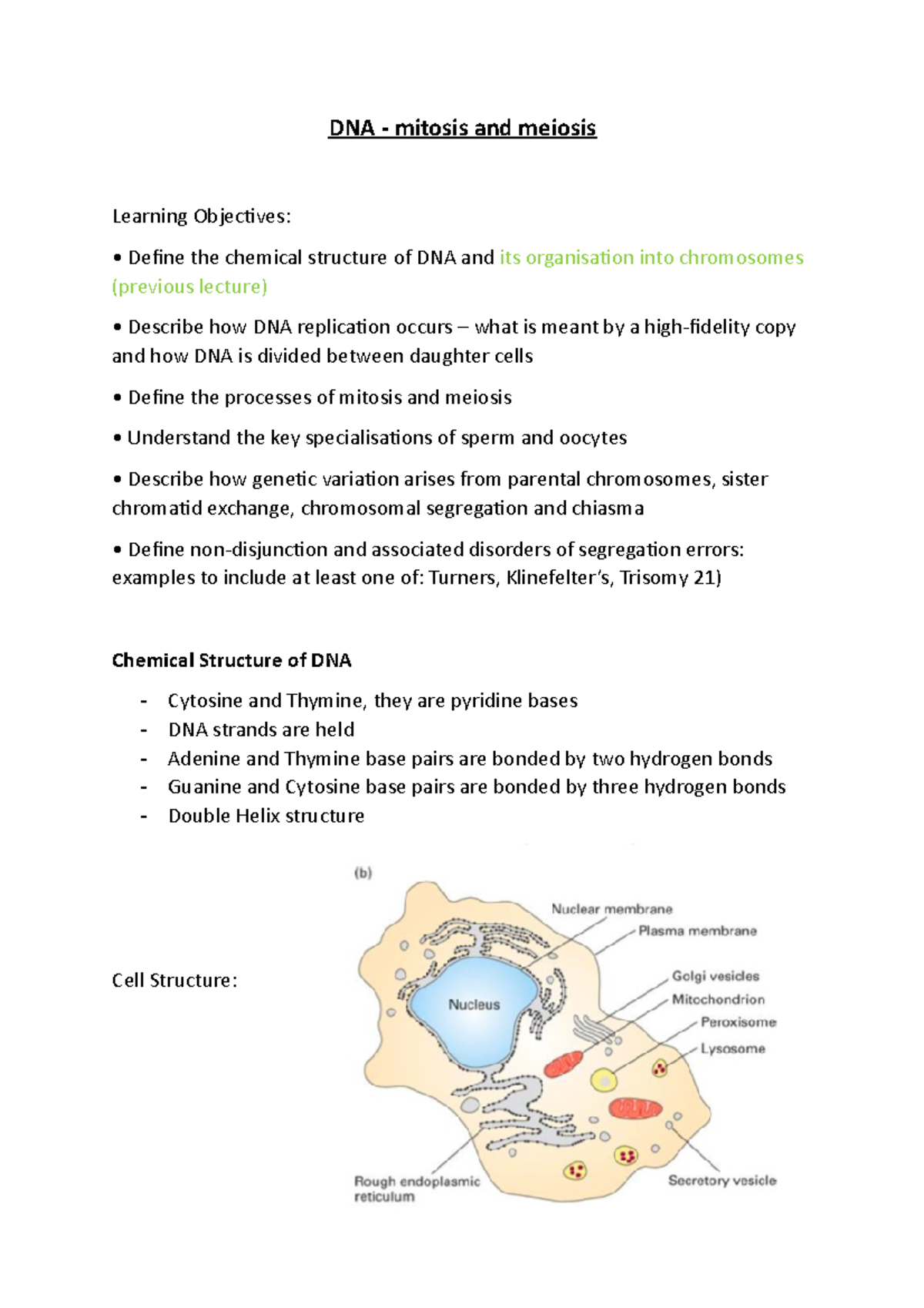 DNA - Lecture 4 - Notes on DNA foundation - DNA mitosis and meiosis ...