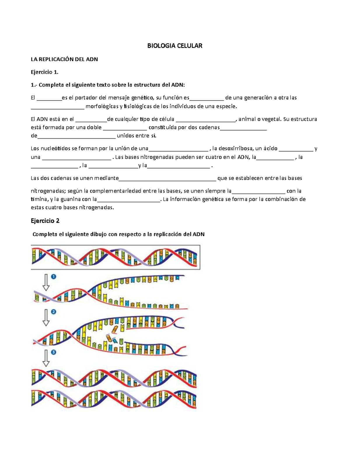 (Biología celular) Ejercicio DE LA ReplicacióN DEL ADN - BIOLOGIA CELULAR LA REPLICACIÓN DEL ADN ...