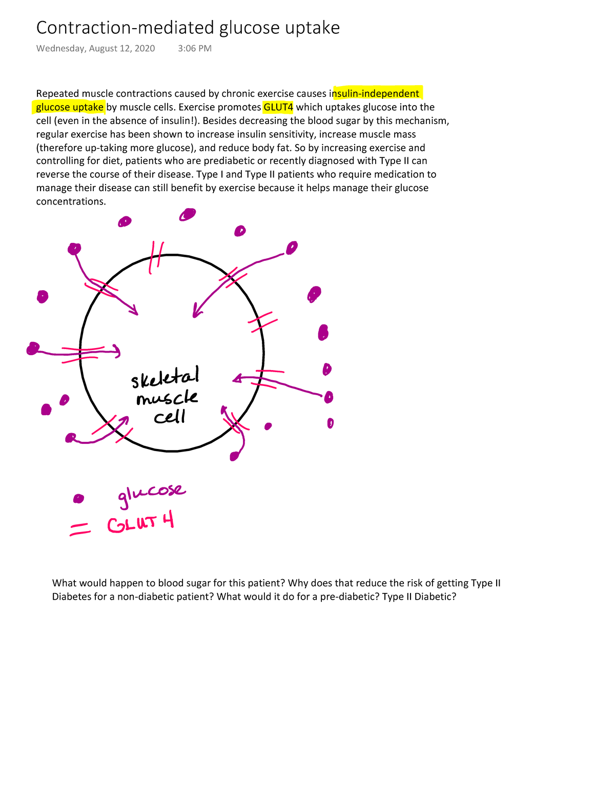 Contraction-mediated glucose uptake - Repeated muscle contractions ...