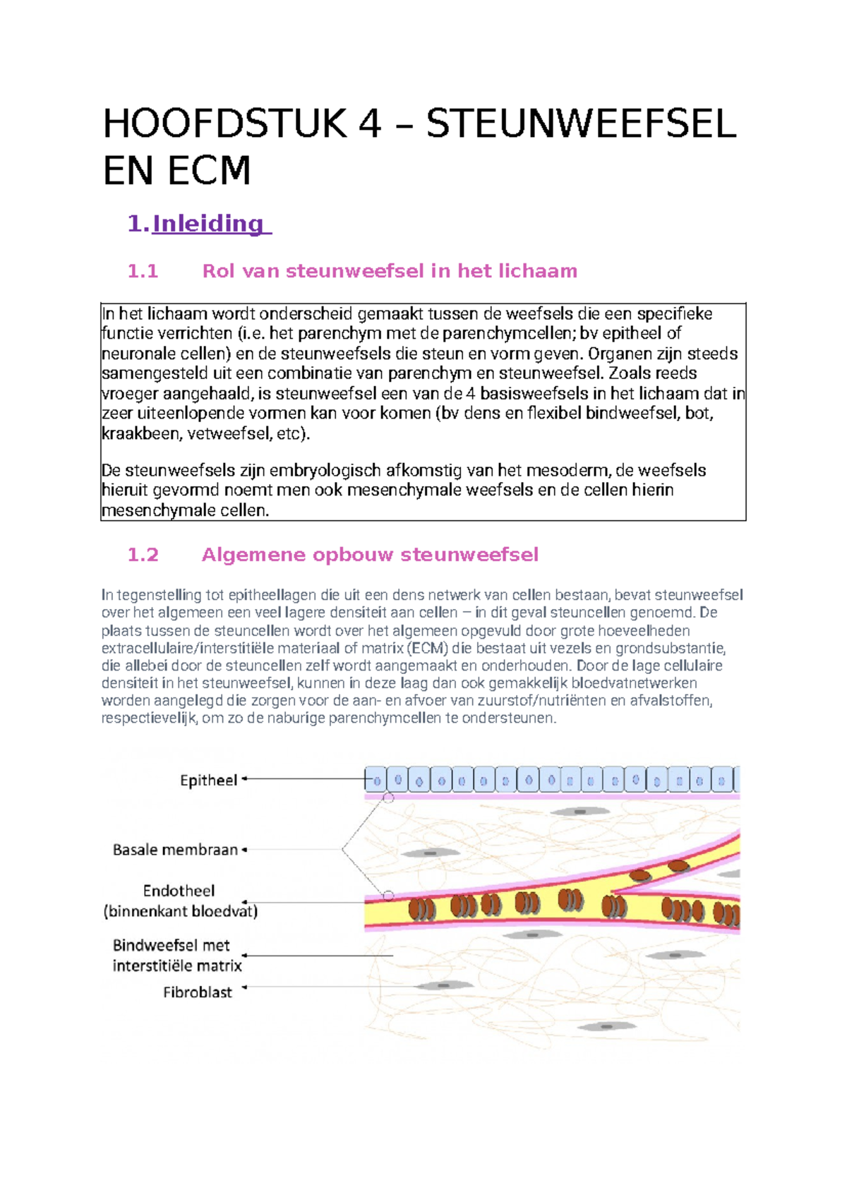 Hoofdstuk 4 - Sofia - HOOFDSTUK 4 – STEUNWEEFSEL EN ECM 1 1 Rol van ...