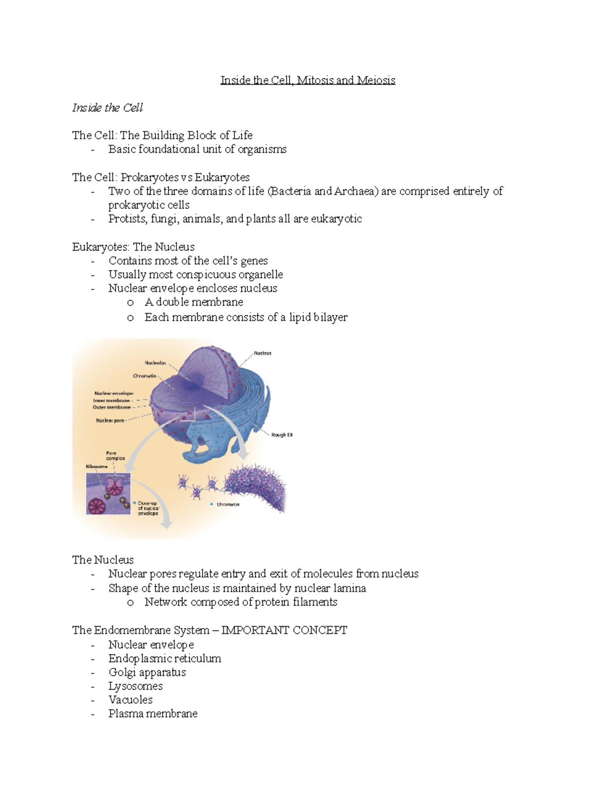 Inside the Cell - Lecture notes - Inside the Cell, Mitosis and Meiosis ...